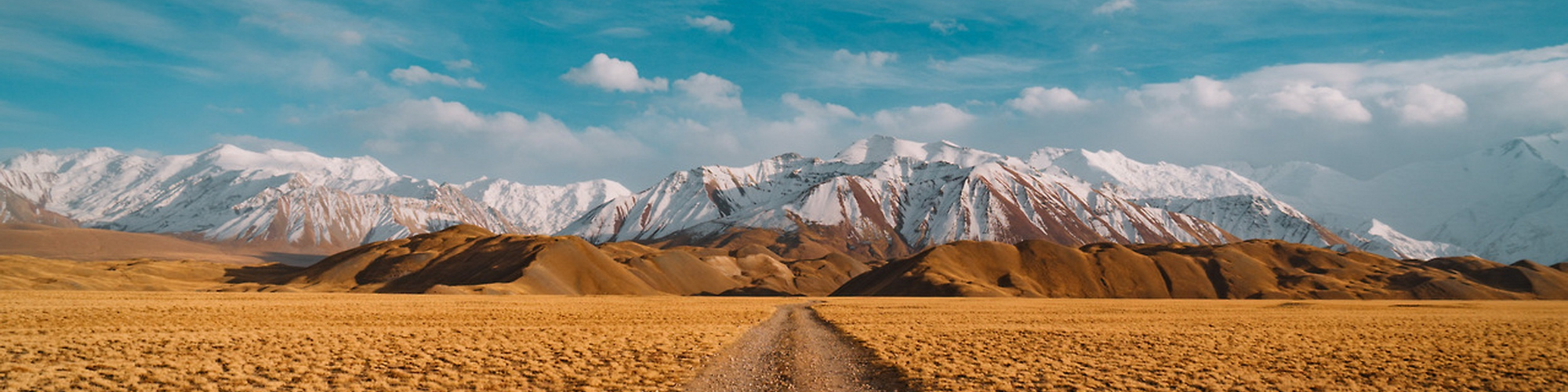 Wanderlust Collection - Happy Wax®