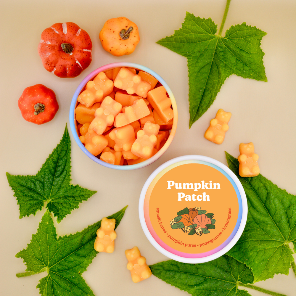 Pumpkin Patch Wax Melts - Happy Wax®